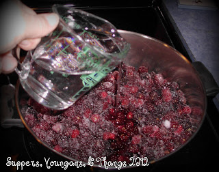 Suppers, Youngans, & Thangs: Black Raspberry Jelly, One of Life's ...