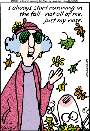 Email Forwards Fun!: Fall . . . . Maxine Style!!!