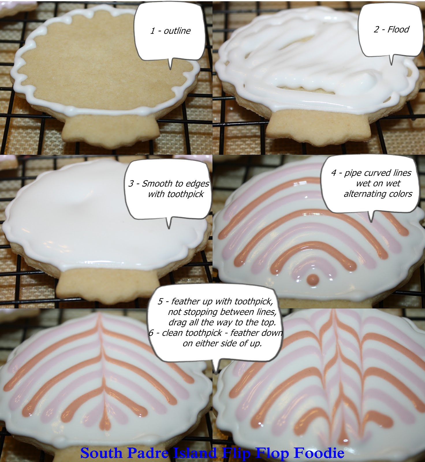 The South Padre Island Flip Flop Foodie: Scallop Sea Shell Cookies