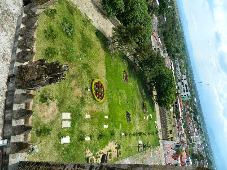 Caballos : YECAPIXTLA, MORELOS.