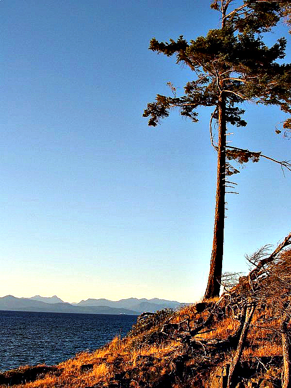 Everything Nanaimo: NECK POINT