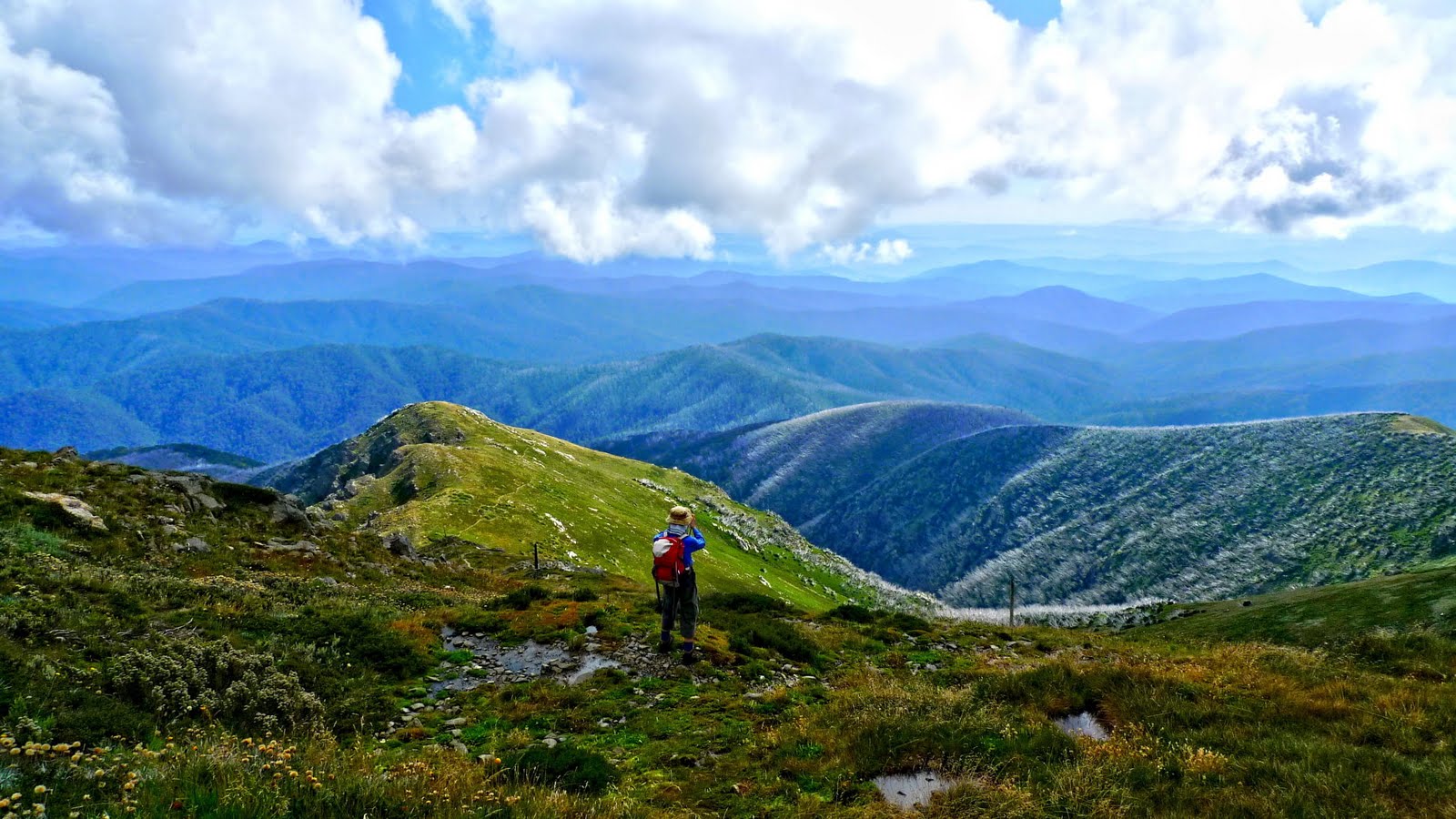 Mountains: Mt Bogong (+ West Peak), Vic, Australia