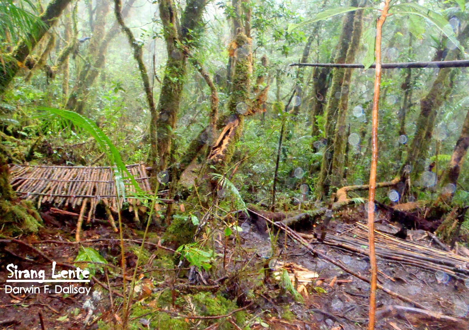 SIRANG LENTE: Mt. Halcon | Mindoro