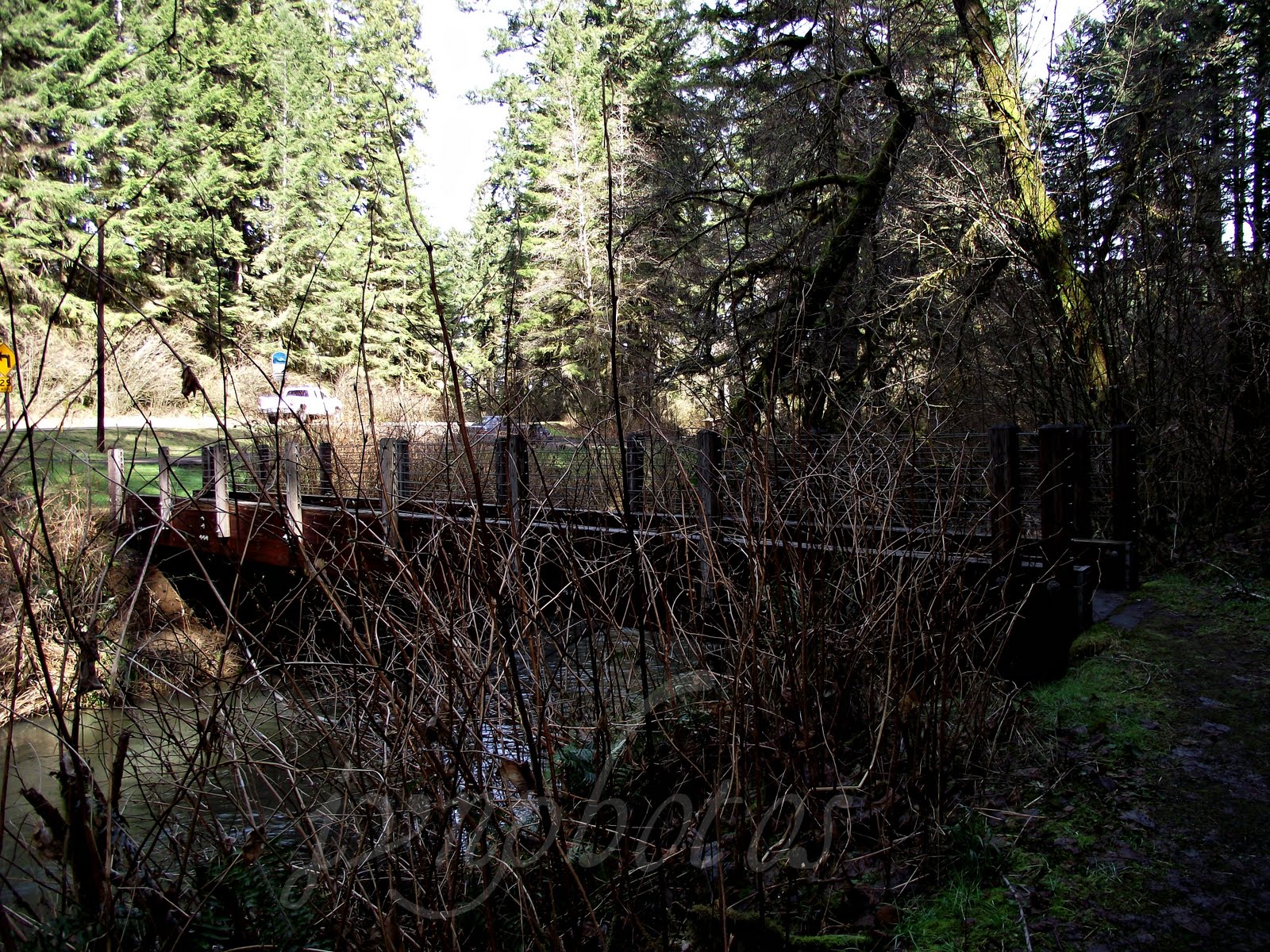 Photos by Jan: Triangle Lake, Oregon and Further Adventures