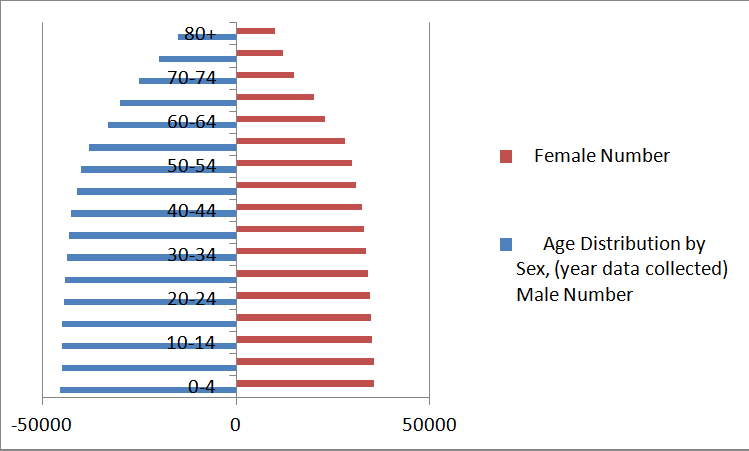 Sustainable Doha: Population Pyramid