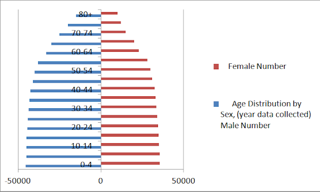 Sustainable Doha: Population Pyramid
