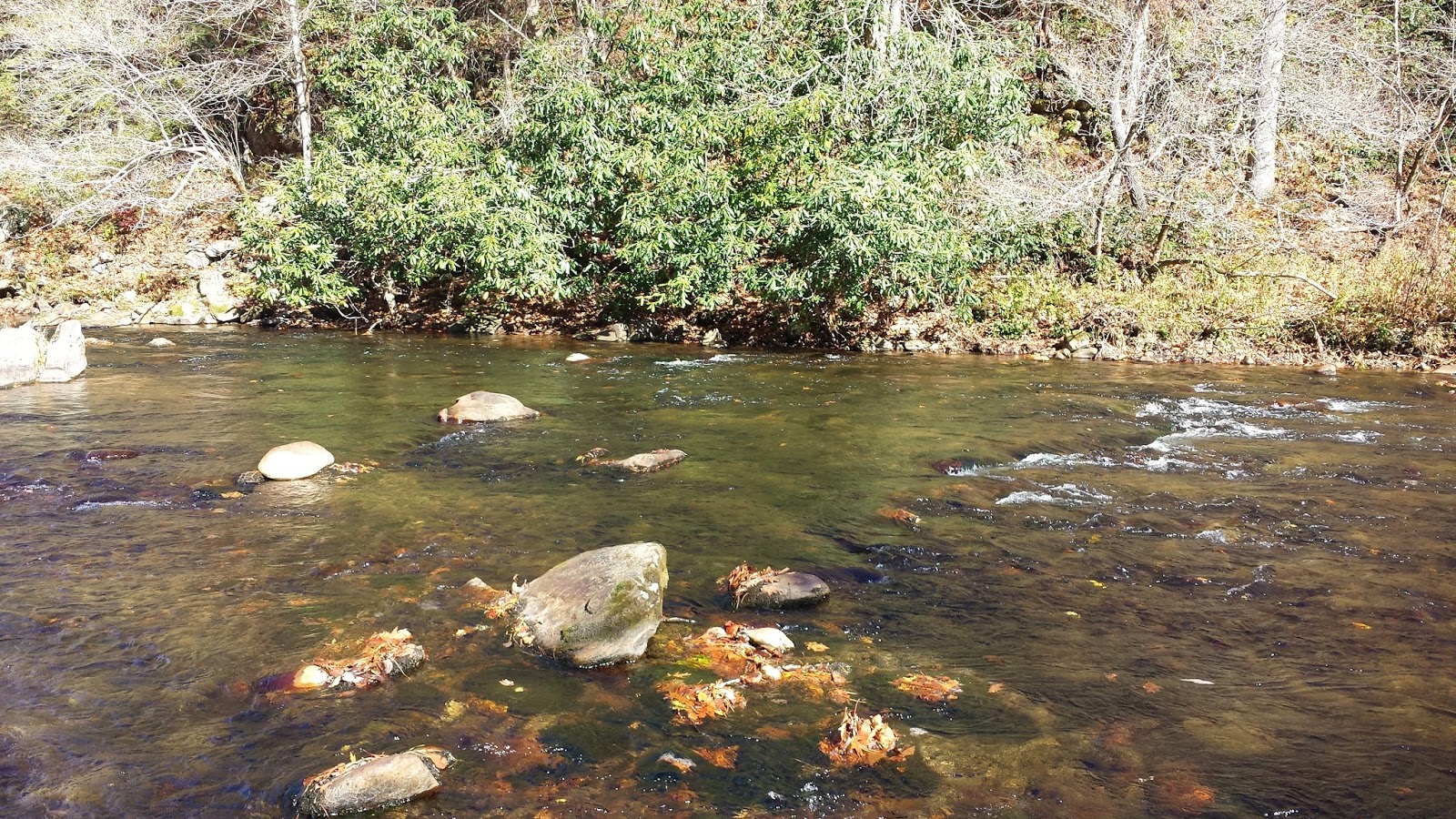 Mount Maker charters hits the hills