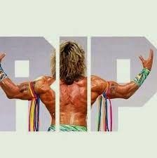 Insidia Blog: The Ultimate Warrior RIP