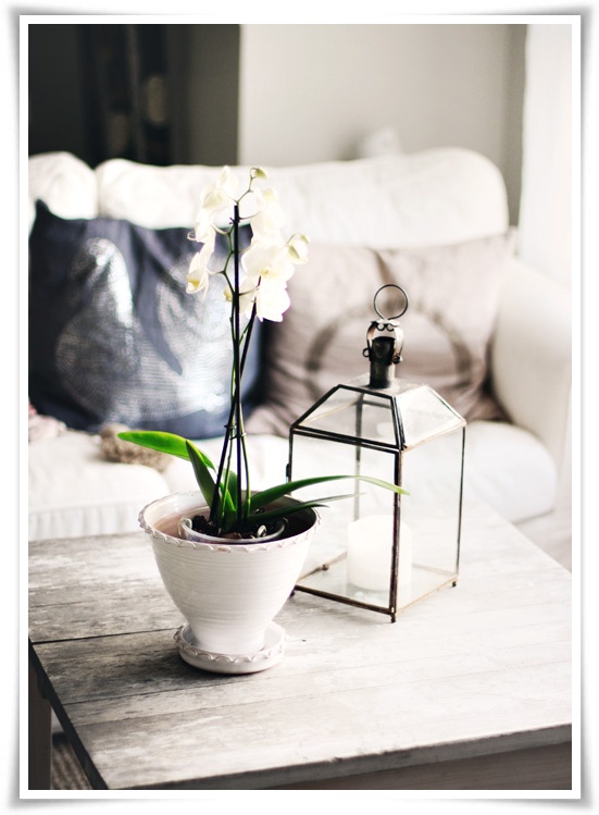 {Photography} Anna Malin - cottagestyleblogs