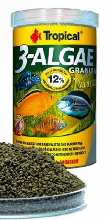 The Aquaculturists: 02/12/2014: Algae in ornamental fish feeding