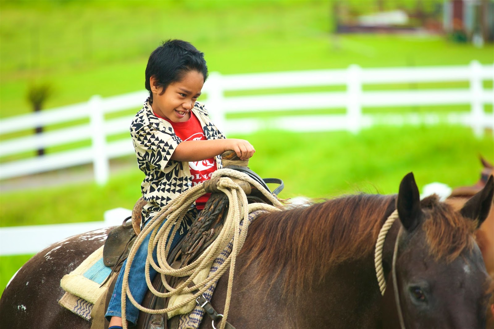 Ka'u Coffee Festival: Hay Bail Rides, Coffee Tours and Ranch Style Eating