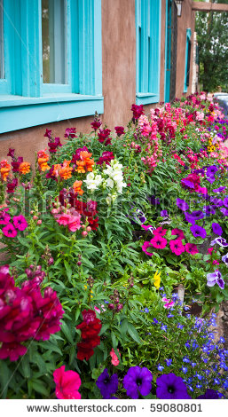 Building la Maison: Time for Turquoise