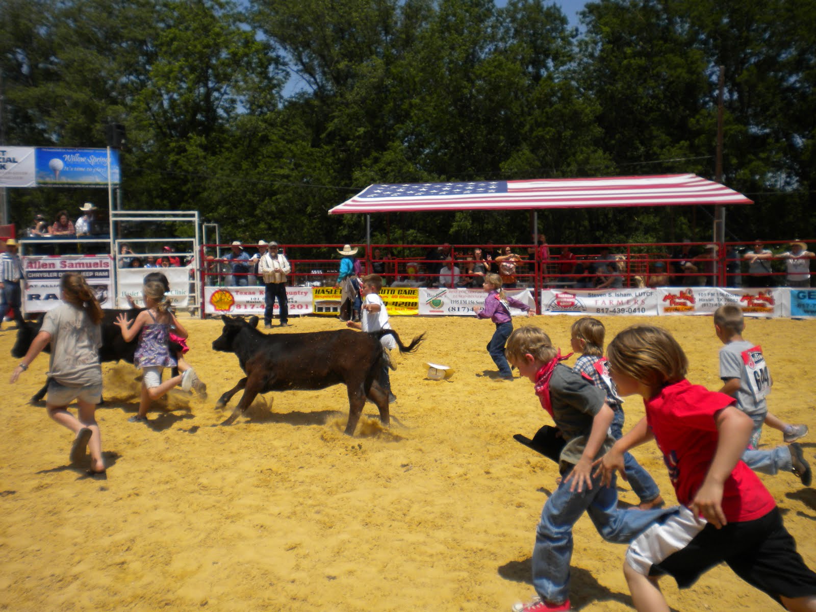 Thoughts from Meme's Corner: Mutton Busting Blue Monday