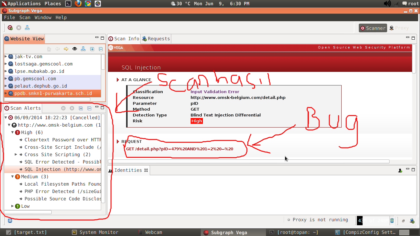 Tutorial Scanning Website Dengan Vega Kali Linux - Skrip Hijau