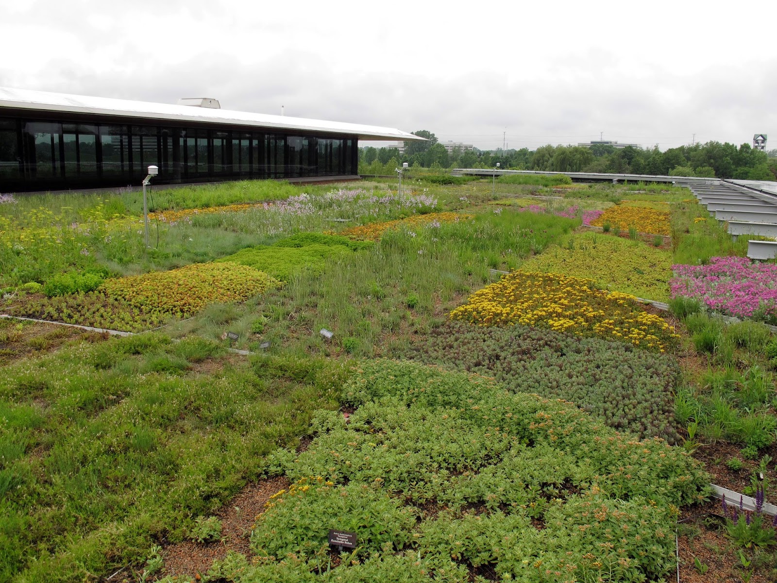 En el jardin: Jardín Botánico de Chicago: vale la pena.