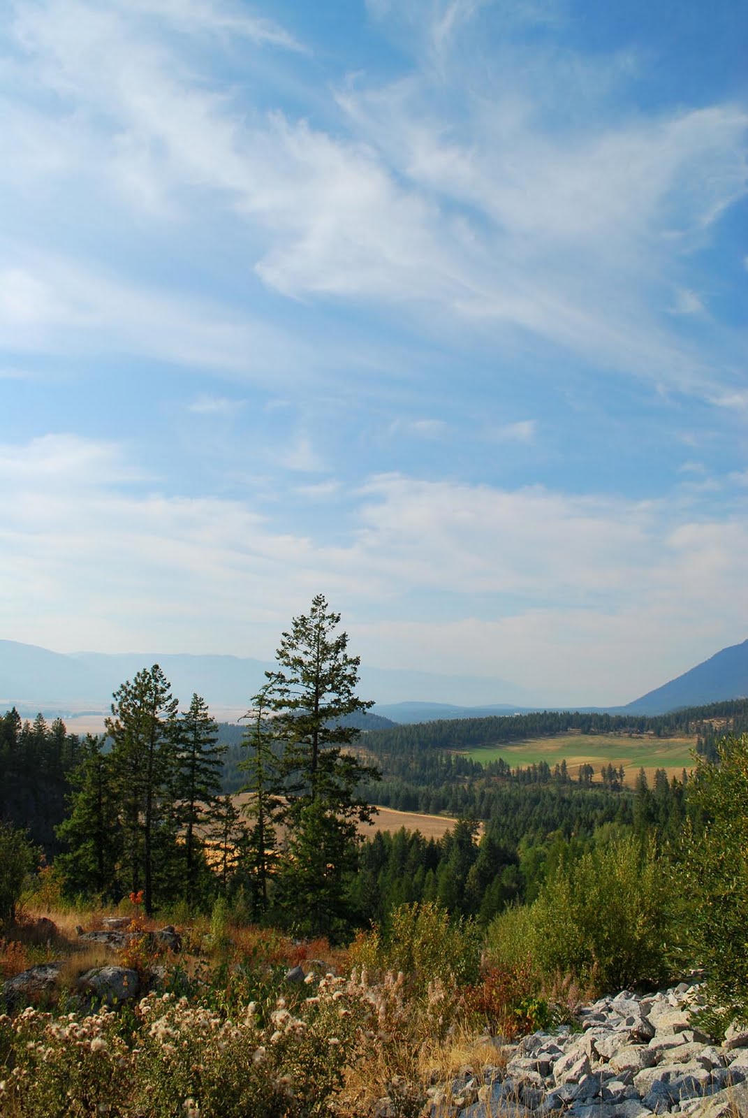 outside of the bubble: The Purcell Trench