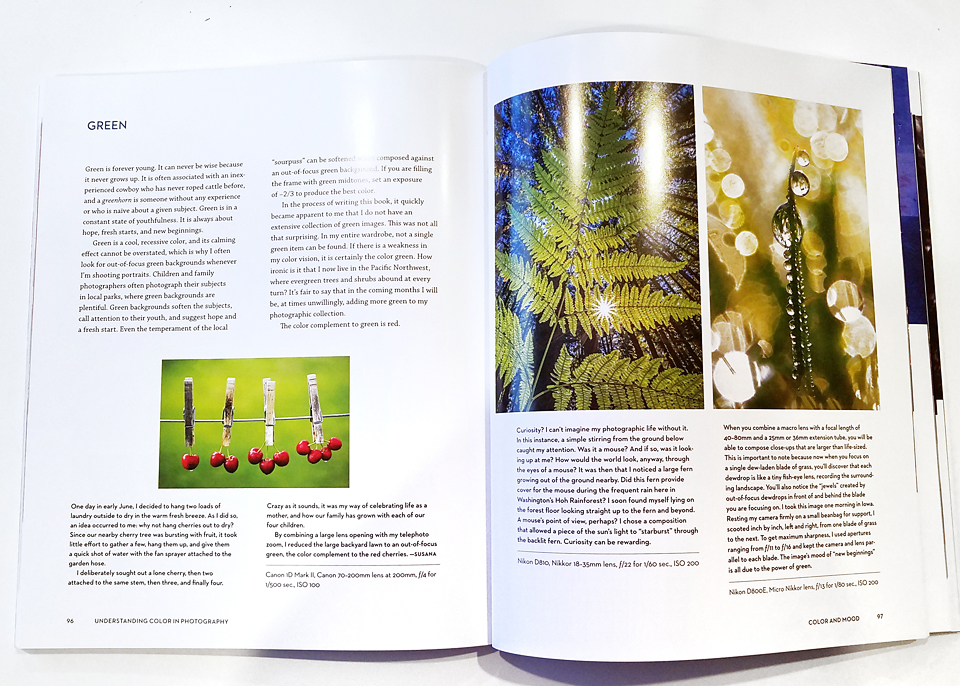As We Bloom: Understanding Color in Photography Book Review