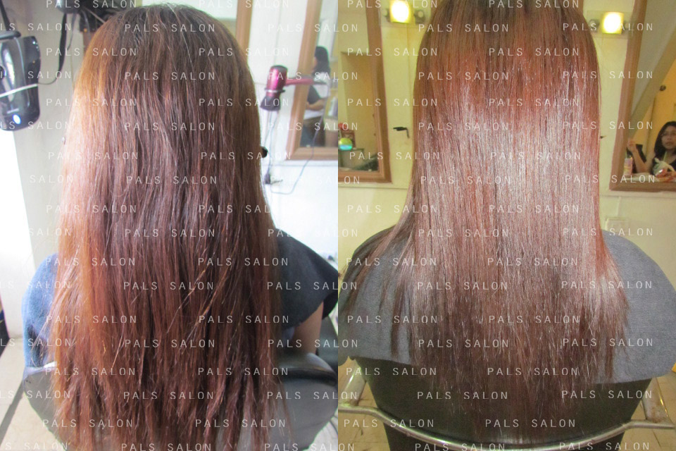 Pals Salon: GALLERY