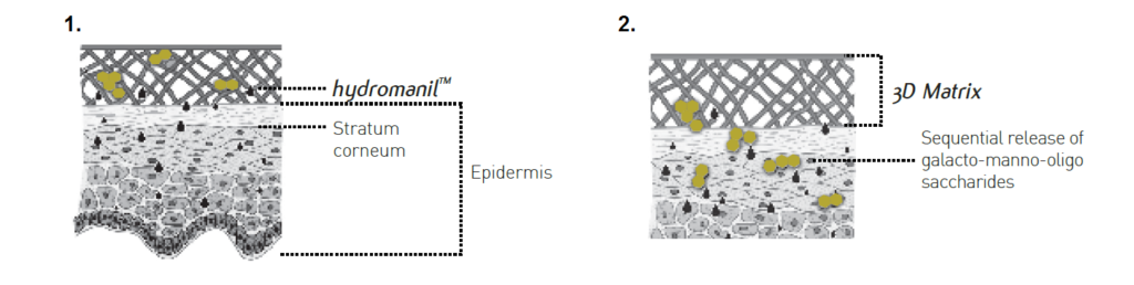 Hydromanil – odborník na hydrataci