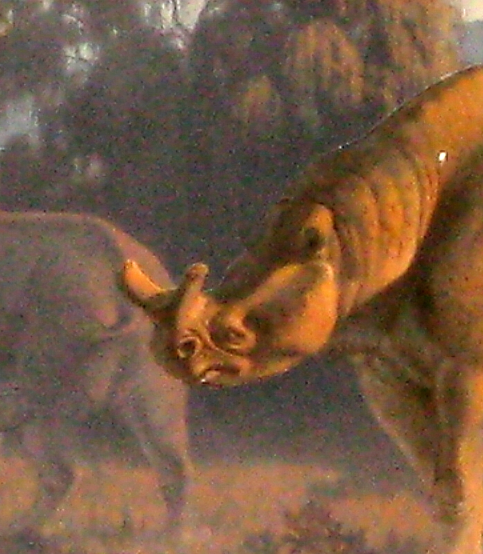 Fossils and Other Living Things: Waiting in the Wings for a Long Time