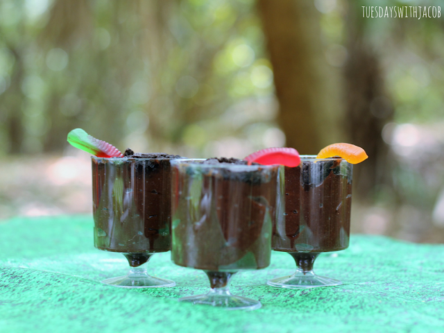 Earth Day Explorers {a year of creative playdates} | Tuesdays with Jacob