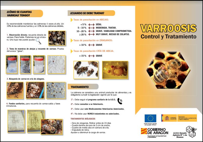 La Colmena Feliz: Varroa jacobsi