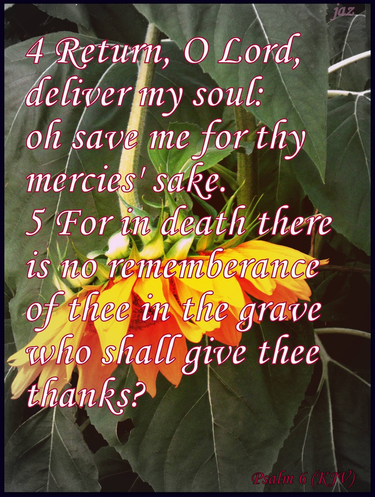 Red Pill Diaries: Psalm 6 (KJV)