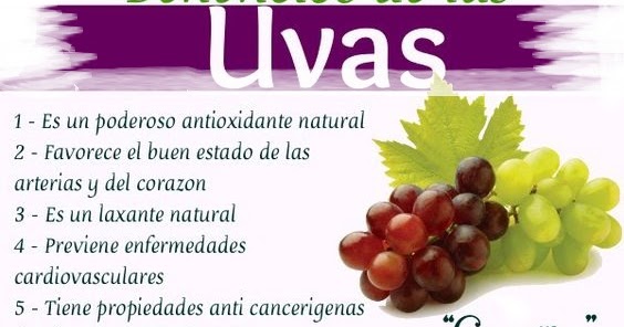 Mejora Tu Salud Con Remedio Casero : 16 Beneficios y propiedades de las ...