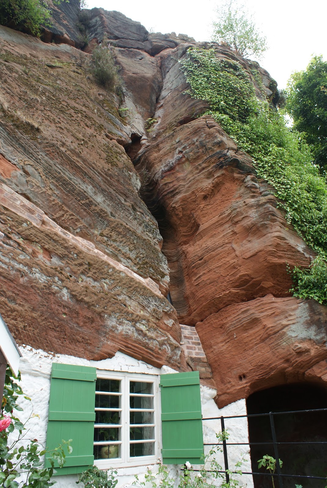 Kinver and Enville Flora and Fauna (SO88)