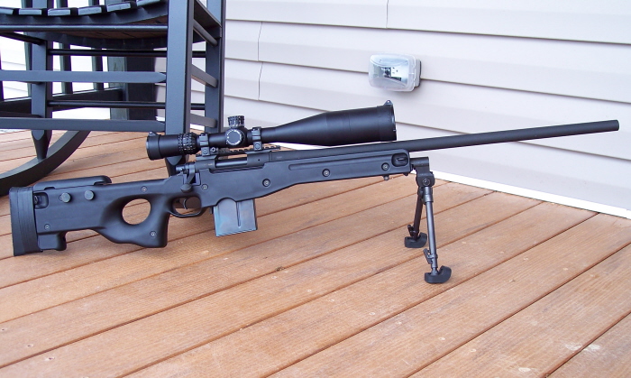 Armas de Fuego: AWF y AWSM