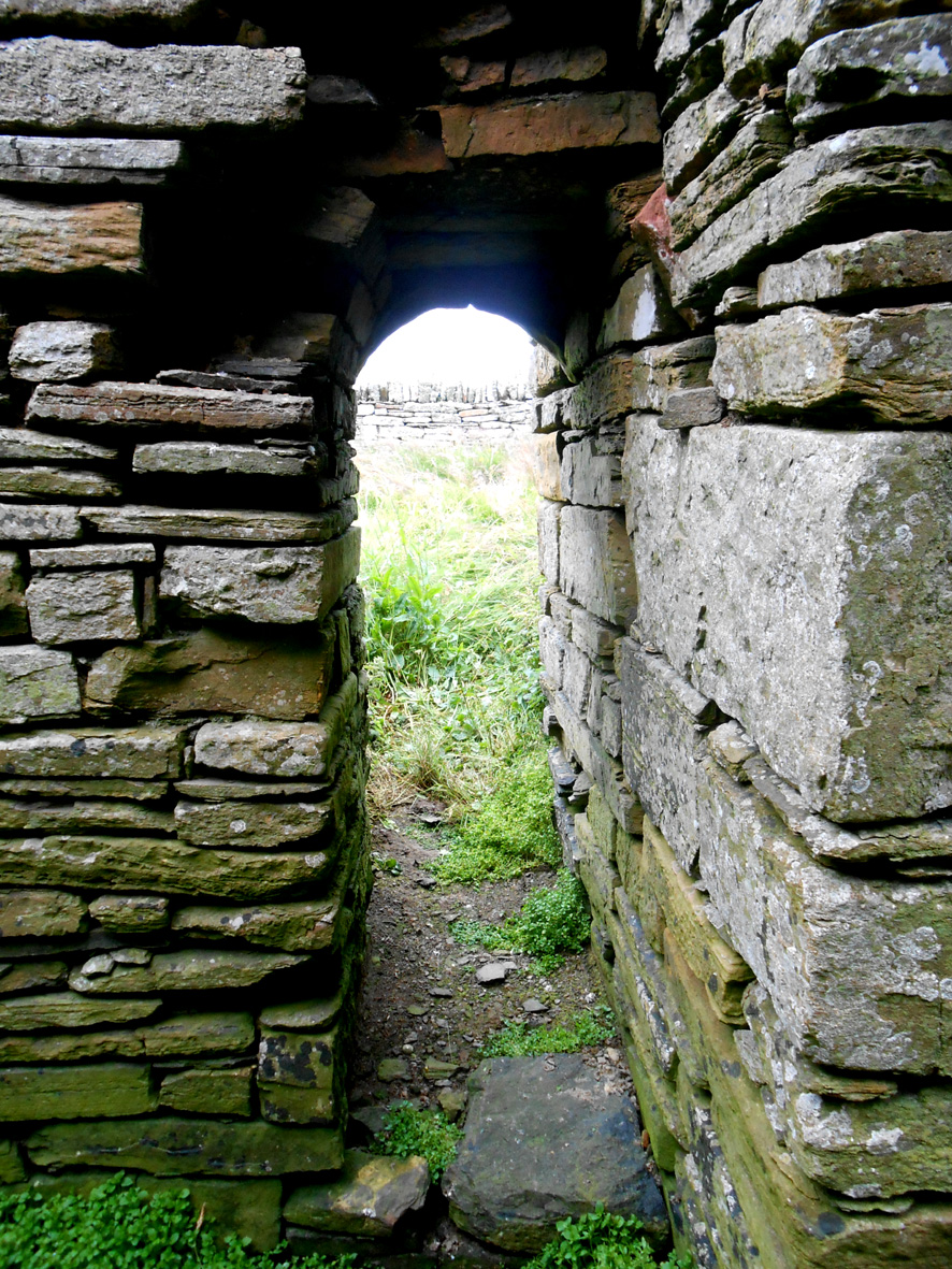 Reader in Orkney: THE STONE BLOGS #2: Eyin Helga, Eynhallow, Holy Isle ...