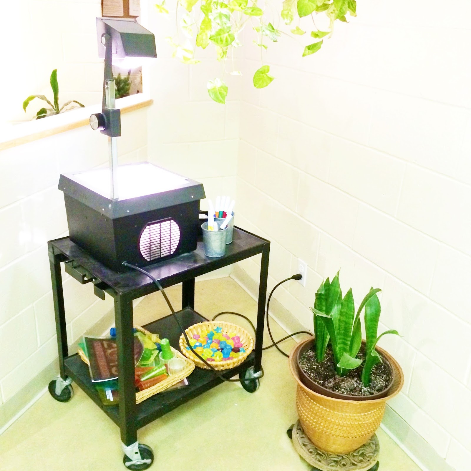 Come and learn with me at the Seneca Lab School! | Transforming our ...