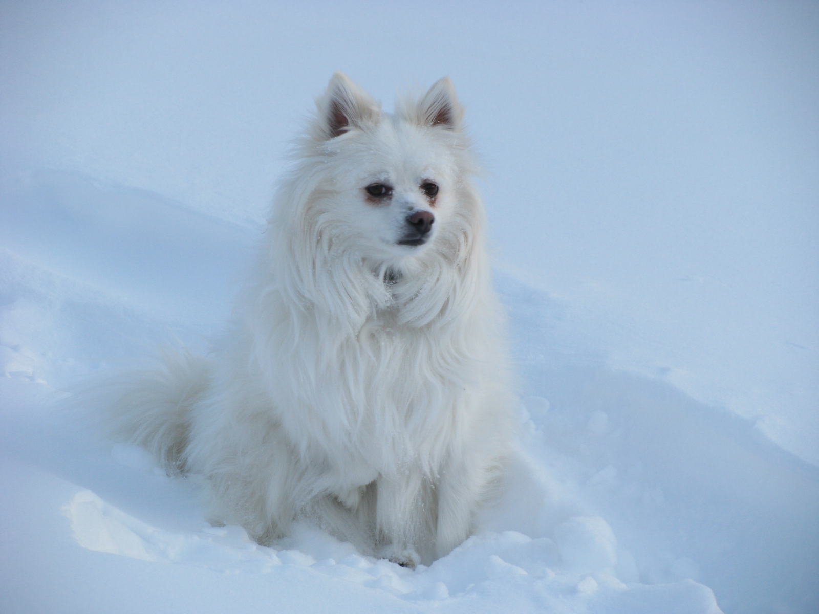 Inspiring Adventures of AlwaysInspired