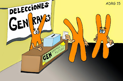 TERRITORIO APÁTRIDA: DELECCIONES GENerales