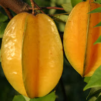 Kuweight 64: DRIED STAR FRUIT