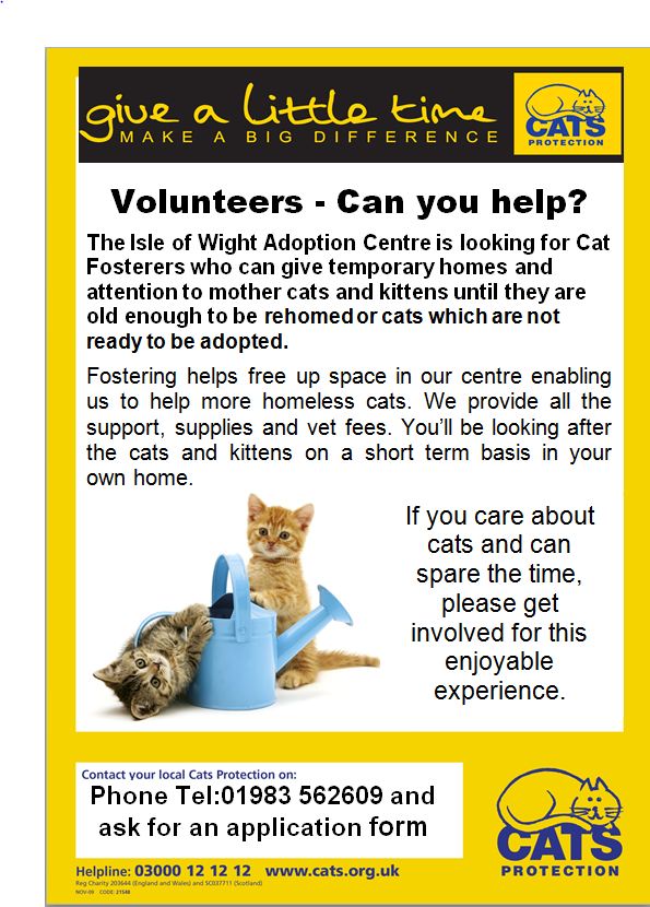 Cats Protection - Isle of Wight: June 2013