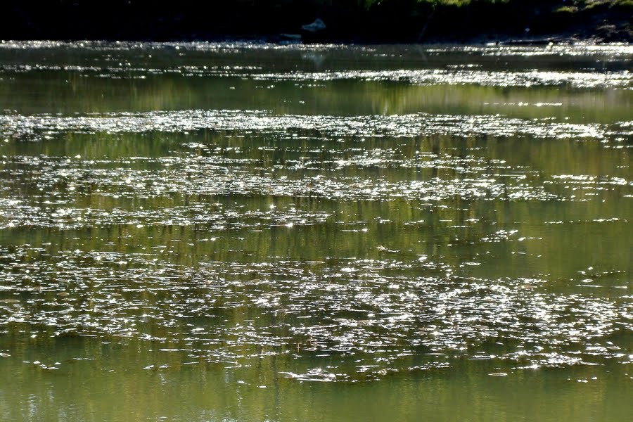 Fragments of the World: Haillons d'argent