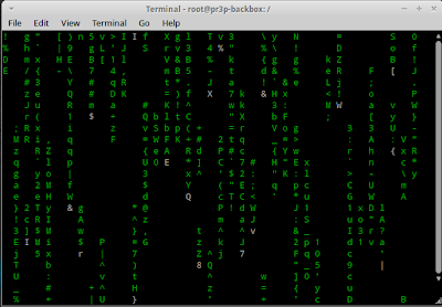 Cyber~Boot: Install Matrix on your terminal [GNU based]