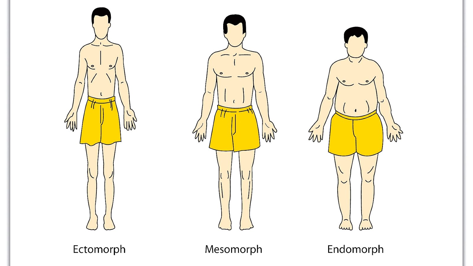 types-of-human-behavior-in-psychology-psychology-choices