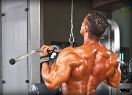 Muscle Palace: Back Workout for Mass - 5 Exercises for Building Bigger Lats