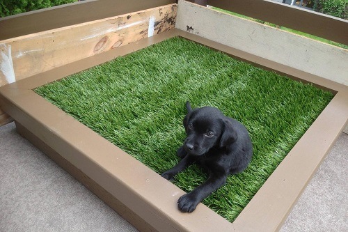 Fake Grass For Dogs - Best Manual Lawn Aerator