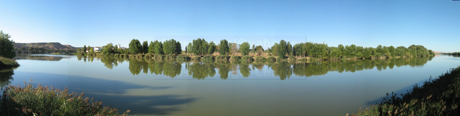Flora medicinal, alimenticia y artesanal de la Ribera Navarra: El Río ...
