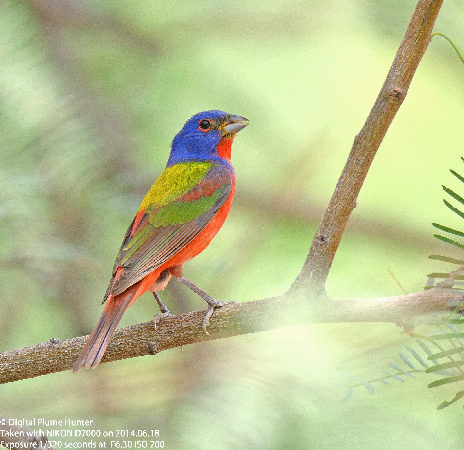 Hunting Digital Plumes in the US and Beyond: Rio Grande Village ...