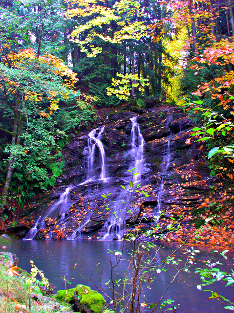 Everything Nanaimo: COLLIERY DAM PARK