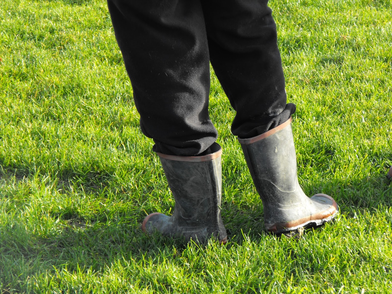 A little bit country: Gumboots, wellingtons and galoshes..........a red ...