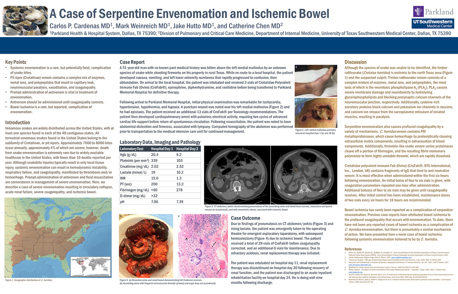 Better Posters: Critique and makeover: Snake bite