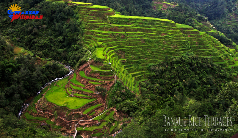 Banaue Rice Terraces: Visit It as Part of Your Bucket List ~ Wazzup ...
