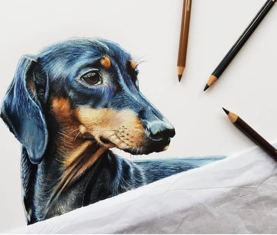 Design Stack: A Blog about Art, Design and Architecture: Wild and ...