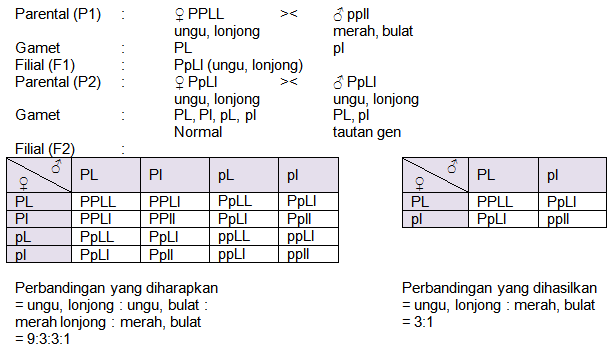 ISHARMANTO-BOJONEGORO: LINKAGE - GEN AND SEX