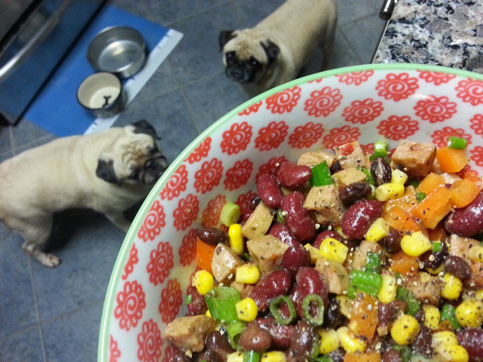 Grubbin' Pugs